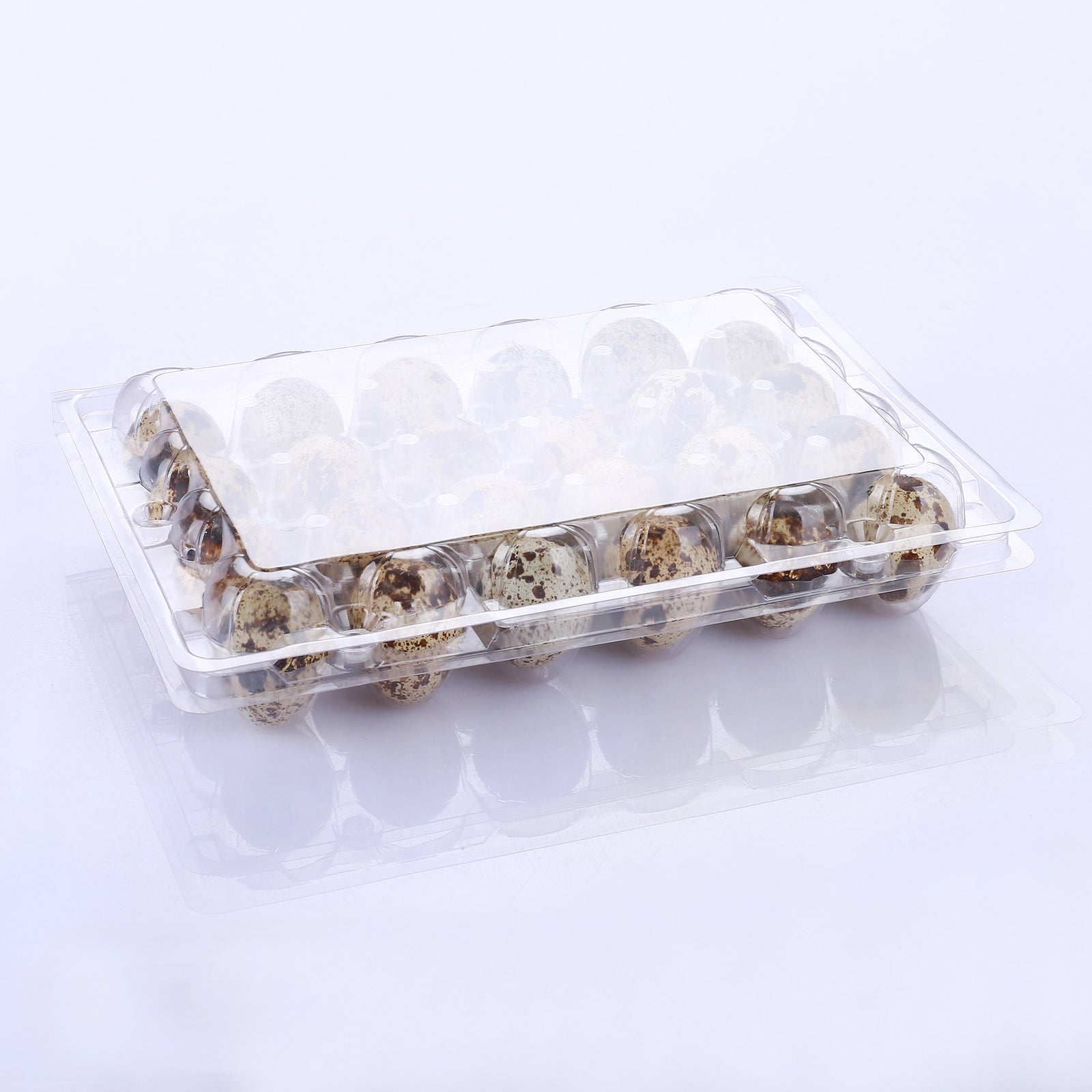 24 plastic quail egg trays